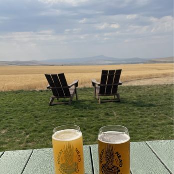 WHEAT HEAD BREWING CO. - Updated November 2025 - 68 Photos & 25 Reviews ...