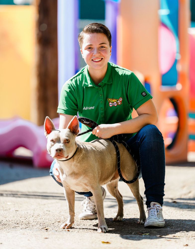 GILBERT DOGS 24/7 - Updated May 2026 - 105 Photos & 161 Reviews - 868 N ...