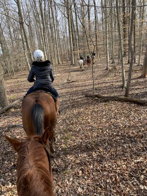 TAMARACK STABLES - 18 Photos & 23 Reviews - 9905 Old Colchester Rd ...