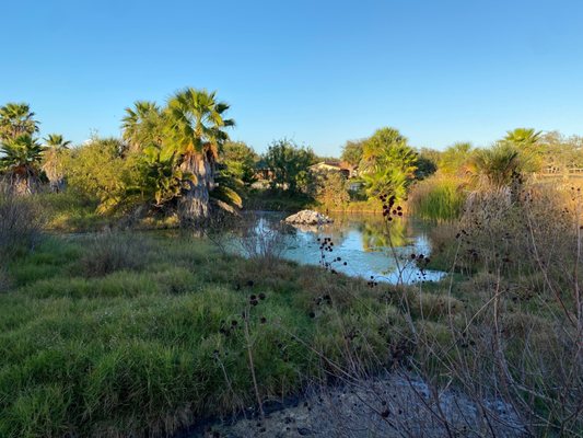 TULE MARSH EAST - Updated June 2024 - 18 Photos - 2010 Tule Park Dr ...