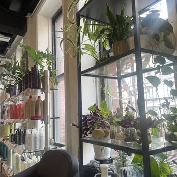 TOTO HAIR - Updated June 2024 - 569 Photos & 232 Reviews - 201 Grand St ...