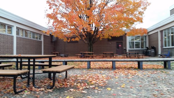 BAYVIEW SECONDARY SCHOOL - Updated May 2025 - 10077 Bayview Avenue ...