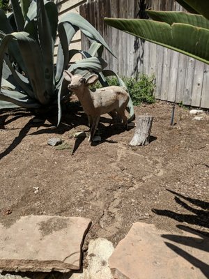 CATALINA VERDUGO ADOBE - Updated September 2025 - 63 Photos & 14 ...