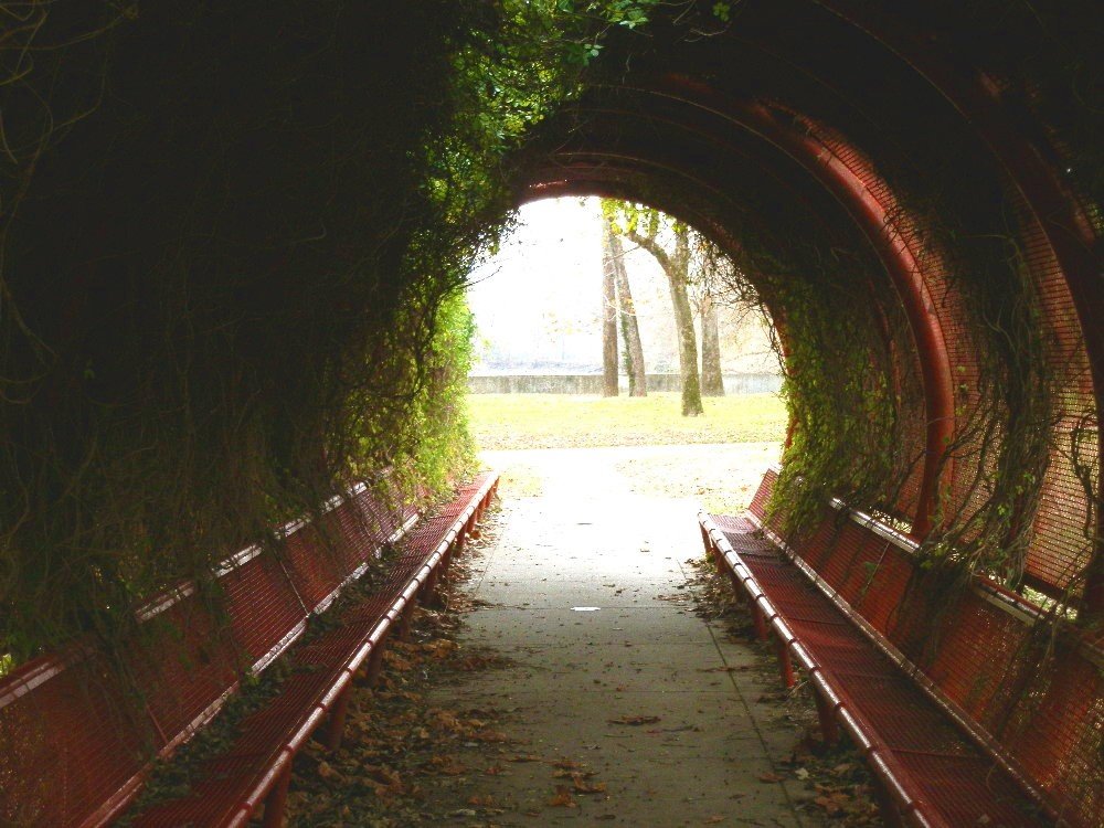 RED ARBOR - 50 Carl Miske Dr, Columbus, Indiana - Public Art - Yelp