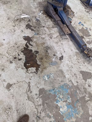 BILL CURRIE FORD - Updated August 2025 - 116 Photos & 284 Reviews ...