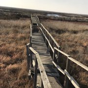 DRAWBRIDGE GHOST TOWN - 73 Photos & 35 Reviews - Fremont, California ...