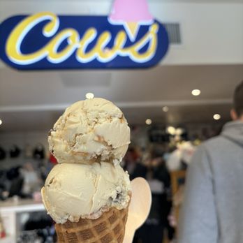 COWS - Updated June 2025 - 306 Photos & 193 Reviews - 138 Banff Avenue ...