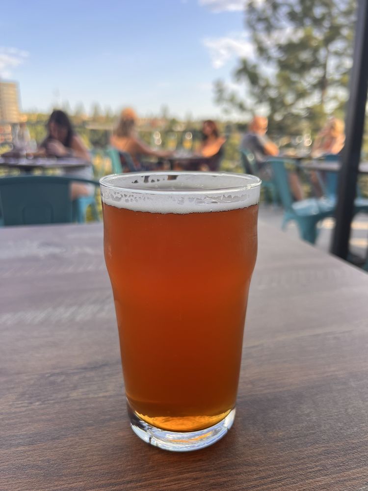 NECTAR WINE AND BEER - Updated July 2025 - 77 Photos & 51 Reviews ...