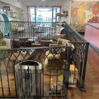 DON’T STRESS MEOWT - CAT CAFE - Updated March 2025 - 157 Photos & 23 ...