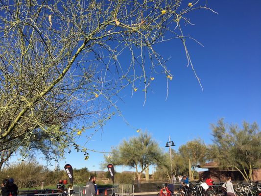 ANTHEM COMMUNITY CENTER - Updated January 2026 - 17 Photos & 17 Reviews ...