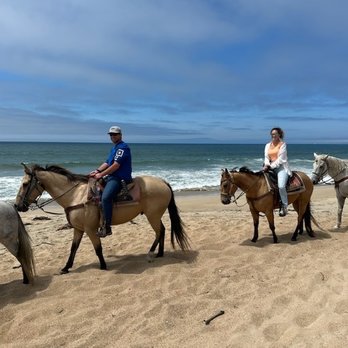 MONTEREY BAY EQUESTRIAN CENTER - Updated July 2025 - 340 Photos & 269 ...