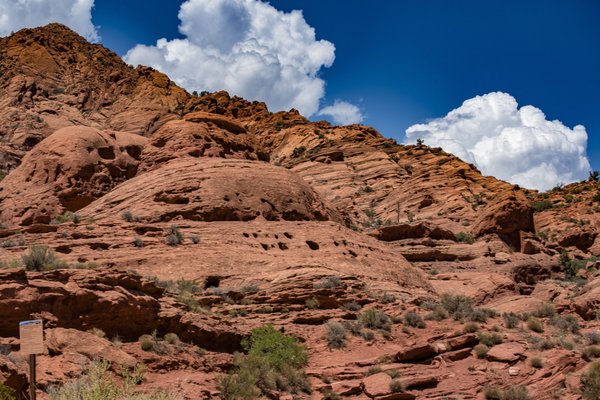 RED CLIFFS DESERT RESERVE - 75 Photos & 13 Reviews - Hiking - 10 N 100 ...