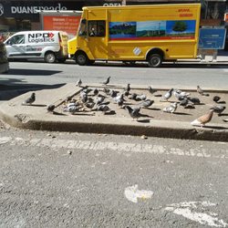 NPD LOGISTICS, LLC - 32 Photos - 101-103 Harper St, Newark, New Jersey ...