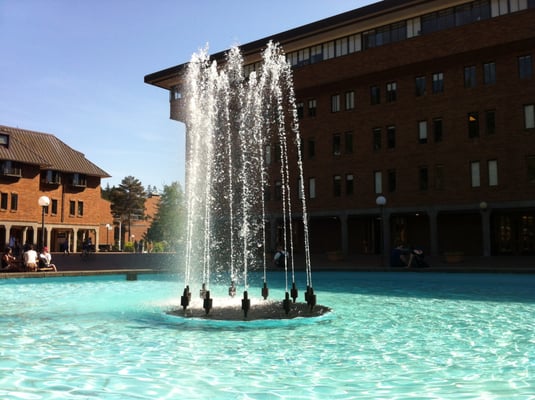 WESTERN WASHINGTON UNIVERSITY - Updated October 2025 - 76 Photos & 38 ...