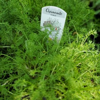 SAMAHA’S COUNTRY FARM MARKET - Updated December 2025 - 52 Photos & 38 ...