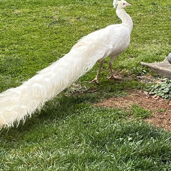 TEMPLE HALL FARM PARK - Updated October 2025 - 57 Photos & 25 Reviews ...