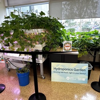 WINDMILL LIBRARY - Updated May 2025 - 337 Photos & 176 Reviews - 7060 W ...