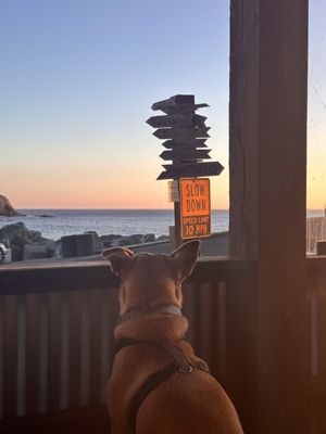 POINT ARENA PIZZA - Updated December 2025 - 74 Photos & 87 Reviews ...