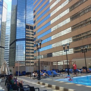 SHERATON DENVER DOWNTOWN HOTEL - 404 Photos & 581 Reviews - Hotels ...