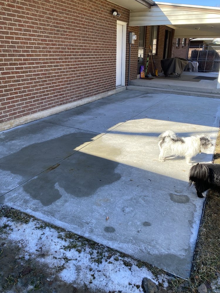 CHOOSE CHANI’S LANDSCAPING - Updated December 2025 - 65 Photos - Denver ...