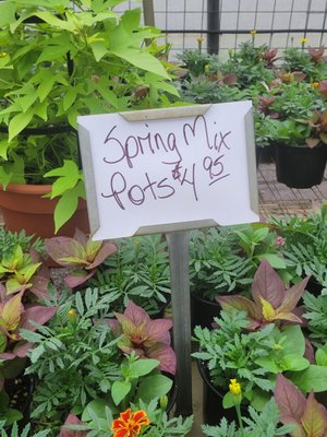 BOBO’S NURSERY & FLORIST - Updated May 2025 - 10 Photos & 10 Reviews ...