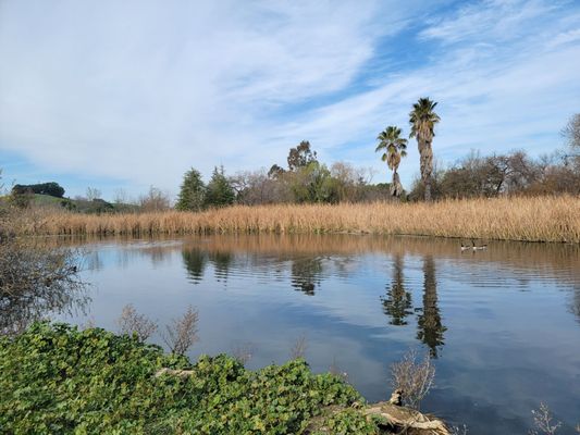 NEWHALL COMMUNITY PARK - Updated November 2025 - 225 Photos & 97 ...