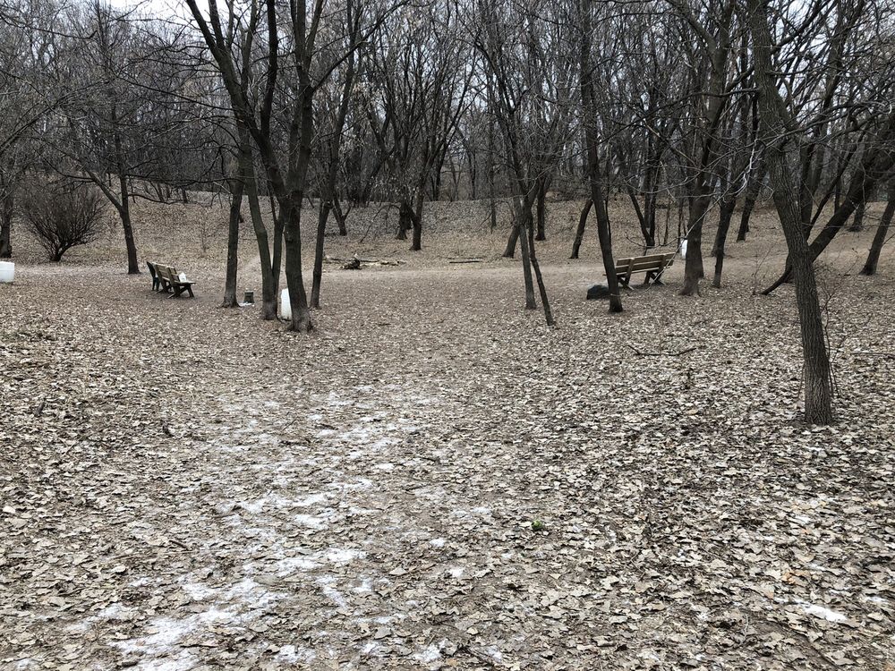 ARLINGTON-ARKWRIGHT DOG PARK - 12 Photos & 13 Reviews - Arlington Ave ...