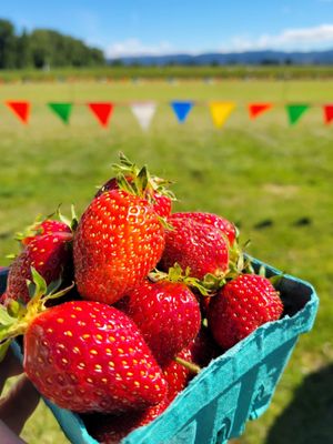 COLUMBIA FARMS U-PICK - Updated June 2026 - 120 Photos & 42 Reviews ...