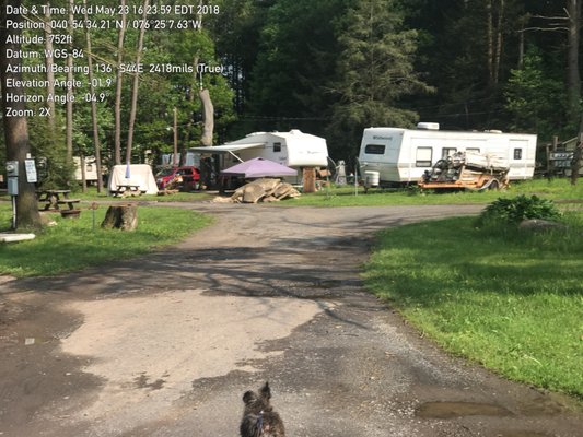 SPRINGBROOK FAMILY CAMPGROUND - Updated June 2025 - 675 Numidia Dr ...