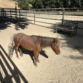 ALISAL RANCH - Updated October 2025 - 280 Photos & 149 Reviews - 1054 ...