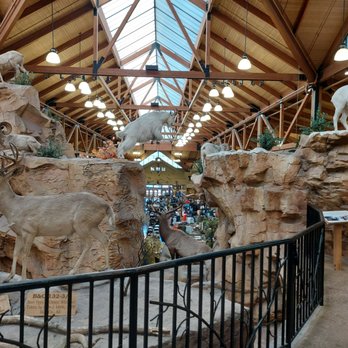 BASS PRO SHOP - Updated January 2025 - 507 Photos & 382 Reviews (3.0 ...