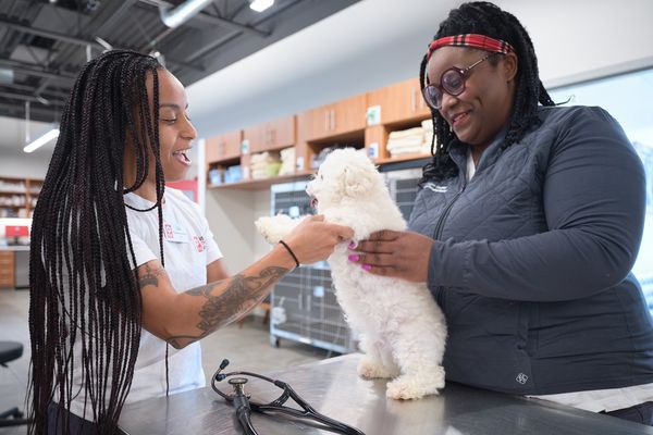 VETERINARY EMERGENCY GROUP - Updated February 2026 - 31 Photos & 15 ...