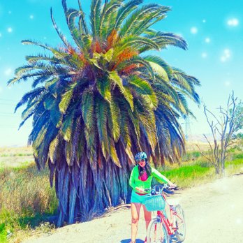 BAYLANDS PARK TRAIL - Updated 2024 - 381 Photos & 119 Reviews - 999 E ...