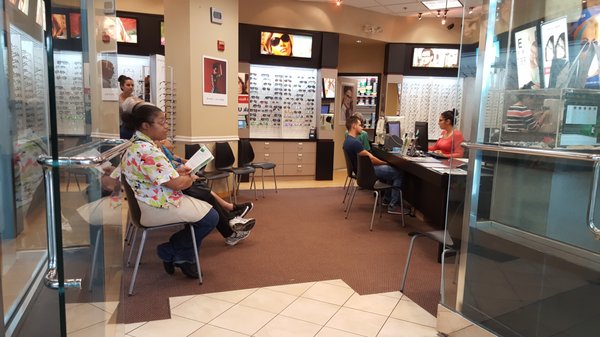 OPTICAL OUTLETS - Updated December 2025 - 41 Reviews - 8025 Citrus Park ...