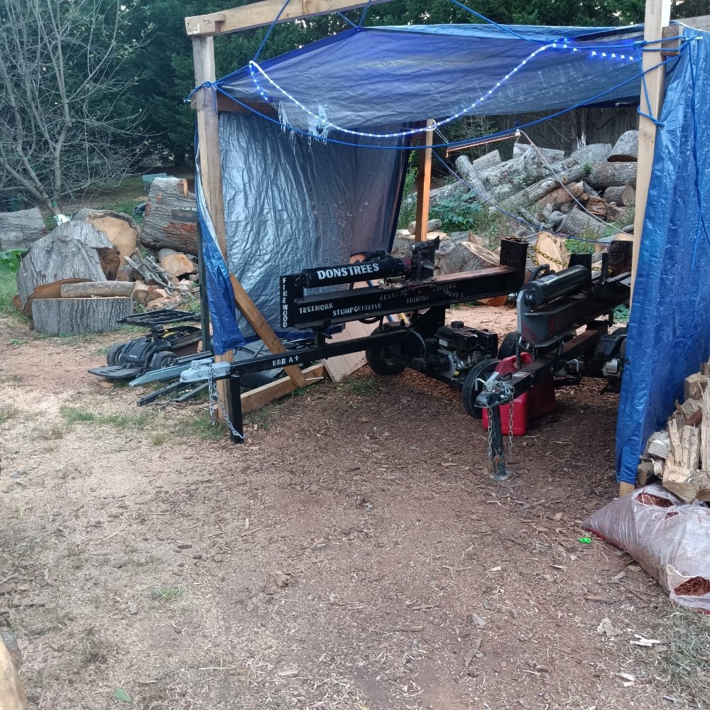 DC TREES - Updated February 2025 - Request a Quote - 57 Photos ...