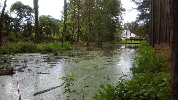 LAKE HOUSTON MARINA - Updated May 2026 - 10 Photos - 10611 Fm 1960 Rd ...