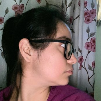 PRIMAL DECOR - Updated December 2025 - 102 Photos & 145 Reviews - 1908 ...