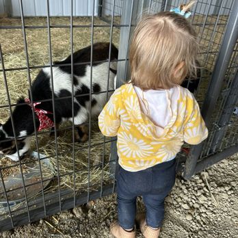 HUDDIN HOMESTEAD FUN FARM - Updated October 2025 - 45 Photos - 1666 ...