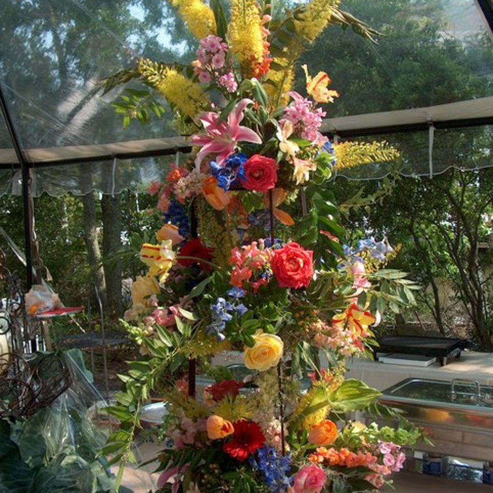 Cactus Flower Fairhope Al | Best Flower Site