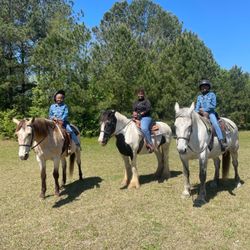 Best Horseback Riding Lessons Near Me - January 2026: Find Nearby ...