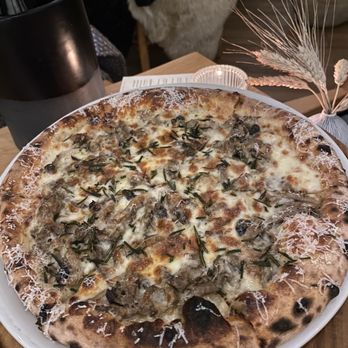 DIXBORO PROJECT - Updated November 2025 - 449 Photos & 179 Reviews ...