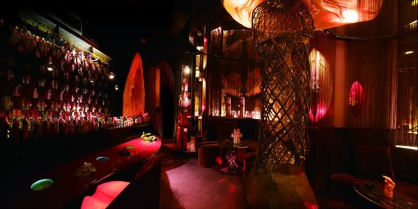 THE VIBE BAR WILD ONE - Updated January 2026 - 21 Photos - 道玄坂2-7-4 ...