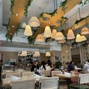 CAFÉ ZUZU - Updated January 2026 - 113 Photos & 35 Reviews - 555 Dundas ...