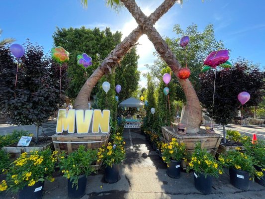 MOON VALLEY NURSERIES - Updated May 2024 - 133 Photos - 707 W Broad St, Forney, Texas ...