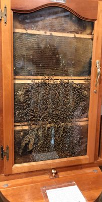 INSECTROPOLIS - 39 Photos & 22 Reviews - 1761 Rte 9, Toms River, New ...