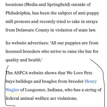 ALL PETS CLUB - Updated December 2025 - 69 Photos & 63 Reviews - 479 E ...