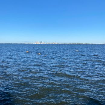 BALLAST POINT PARK - Updated October 2025 - 209 Photos & 87 Reviews ...