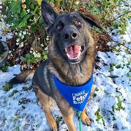 Fetch! Pet Care Reviews | Read Customer Service Reviews of fetchpetcare.com