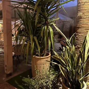 PALMA - Updated July 2024 - 923 Photos & 473 Reviews - 903 N 2nd St ...