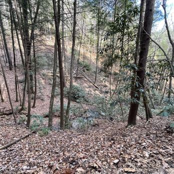 FALL BRANCH FALLS - Updated October 2025 - 79 Photos & 34 Reviews ...